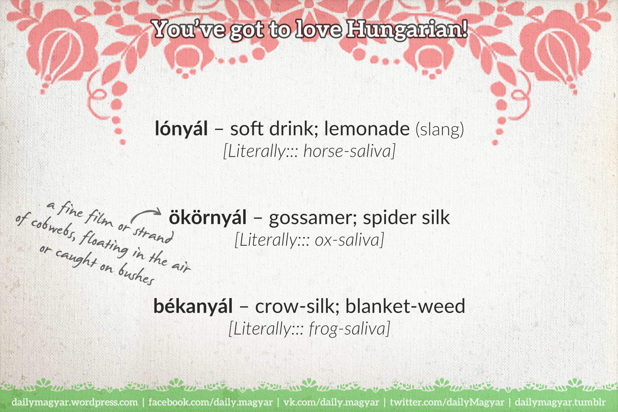 Mini language lesson #9: Hungarian slang - DailyNewsHungary