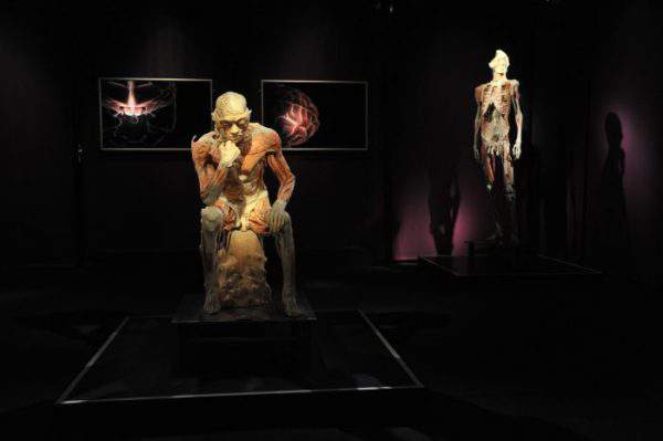 Let's meet the human body – Body exhibition coming to Budapest