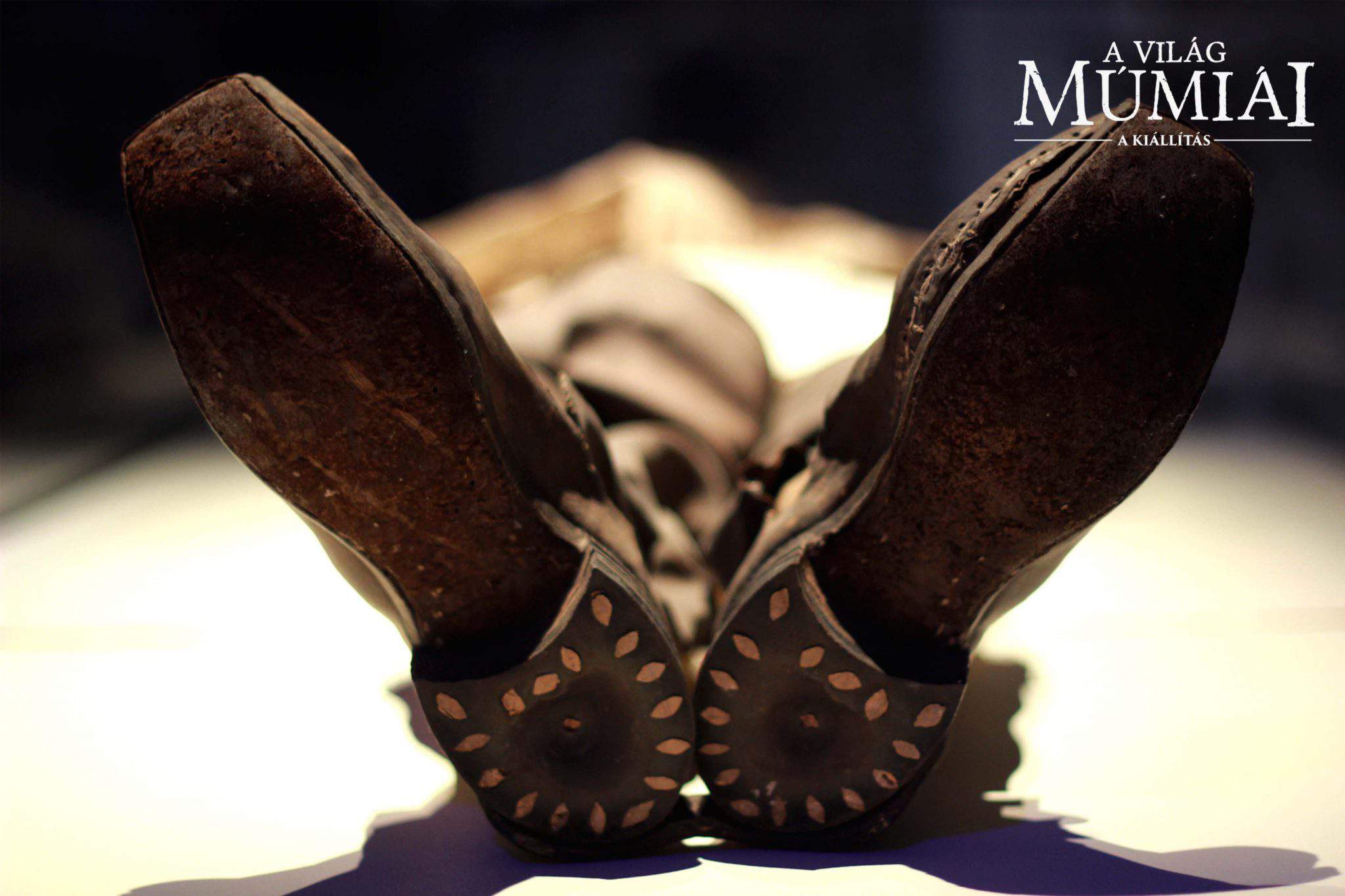 The unique Mummies of the World exhibition is finally in Budapest ...