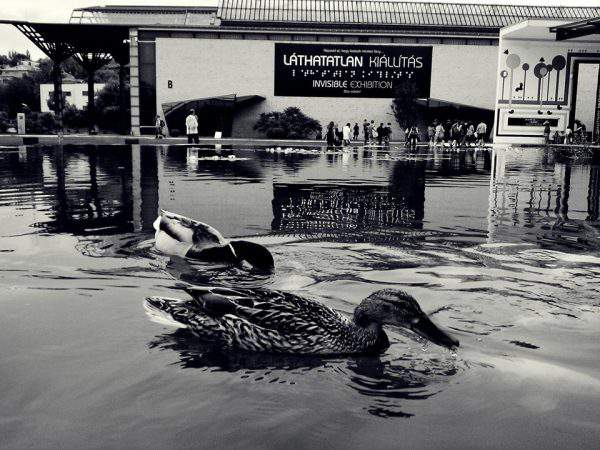 Budapest's Invisible Exhibition is awaiting you - DailyNewsHungary