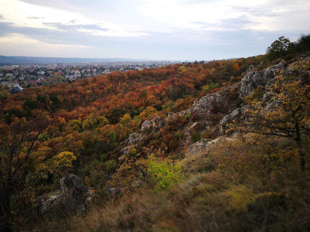 Sas Hill: A piece of wildlife above Budapest's city centre