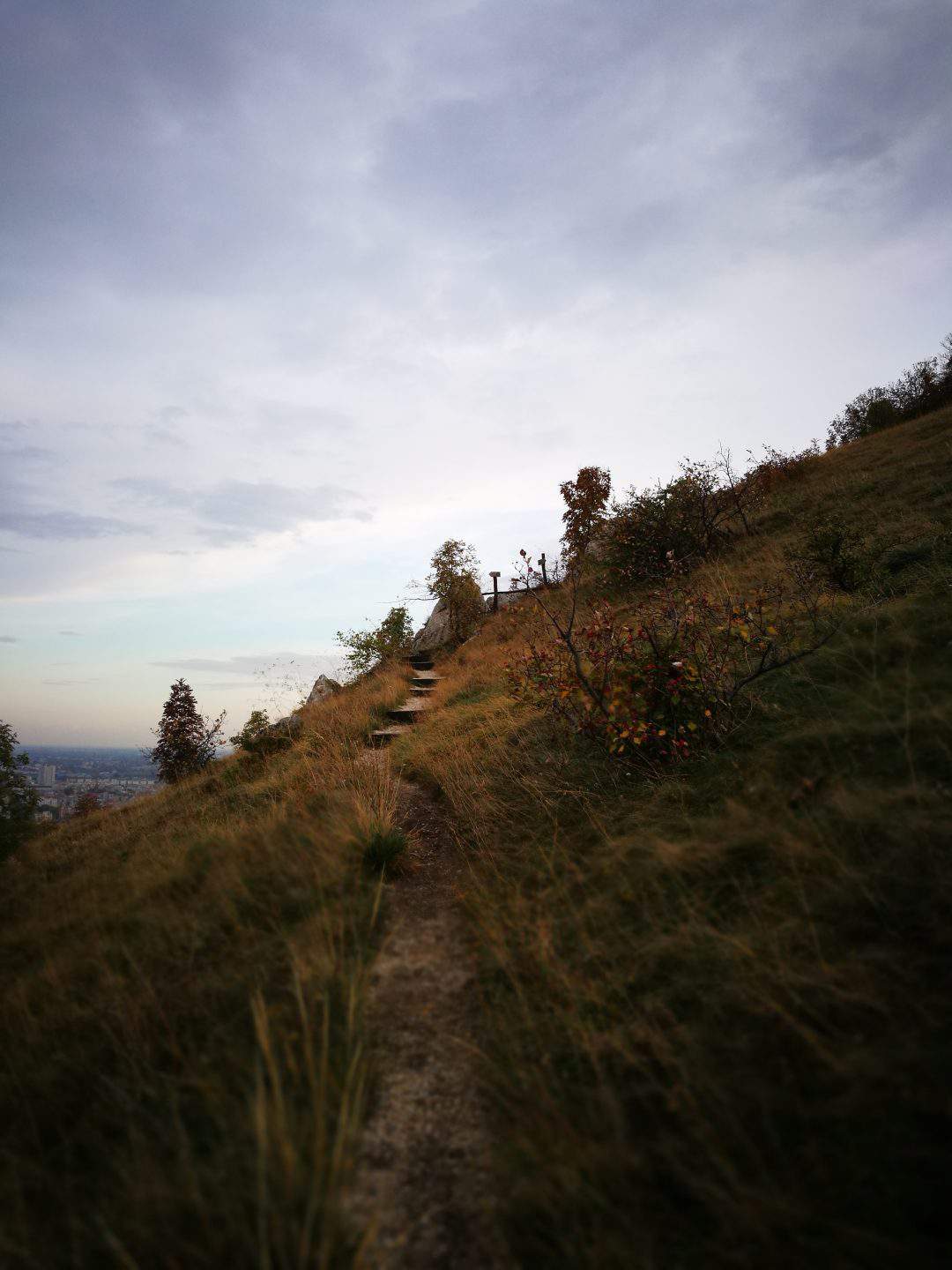 Sas Hill: A piece of wildlife above Budapest's city centre