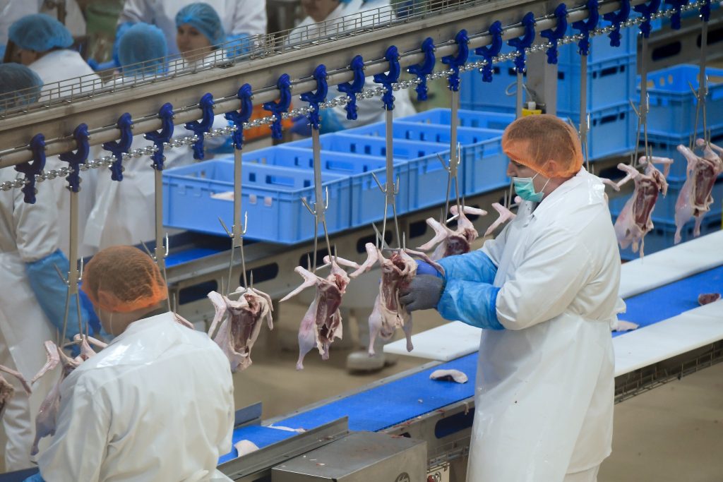 Hungary is the 2nd largest producer of duck meat in Europe, here is the ...