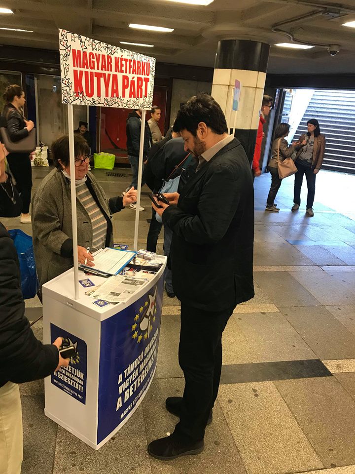 The Hungarian joke political party: the two-tailed dogs - photos, video ...