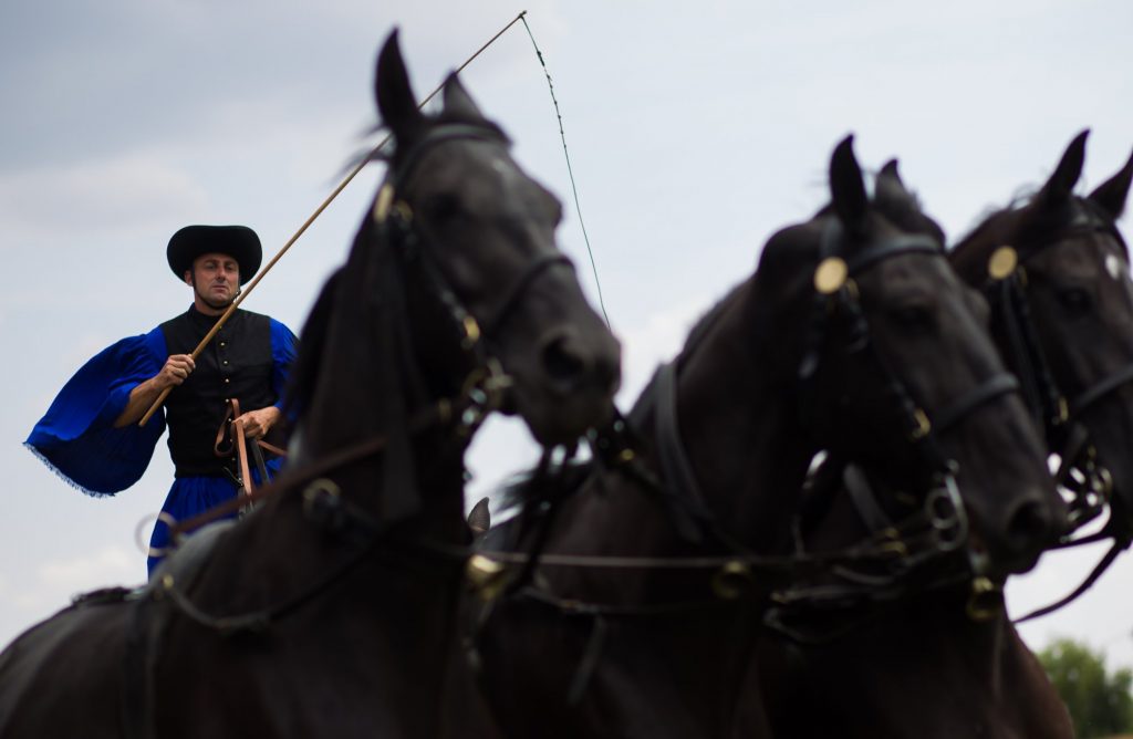 Amazing! Beautiful Hungarian horses entertained the British Royal ...