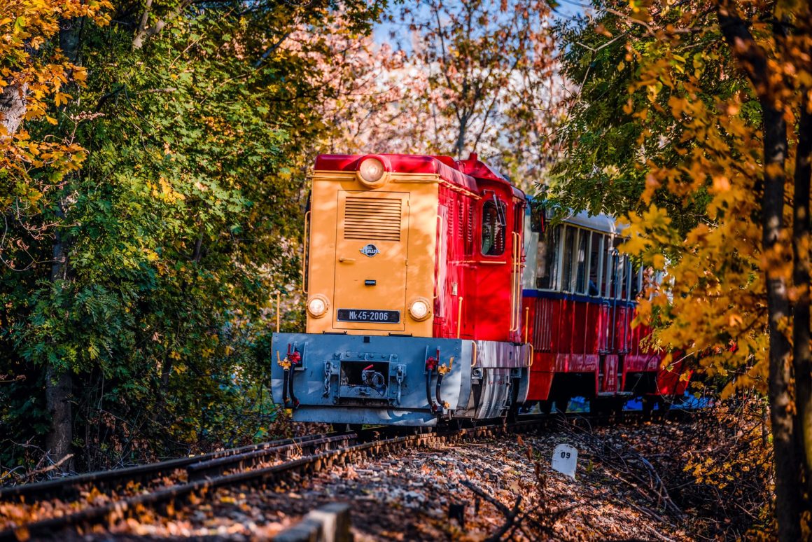 The top five loveliest forest trains in Hungary