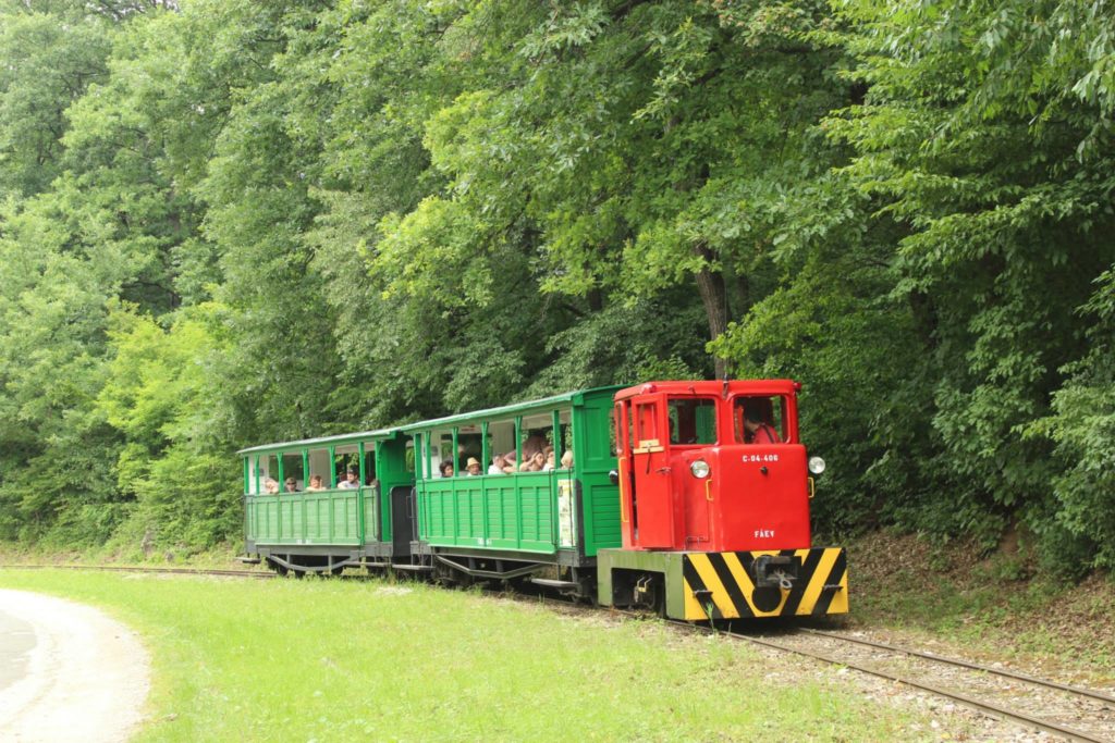 The top five loveliest forest trains in Hungary