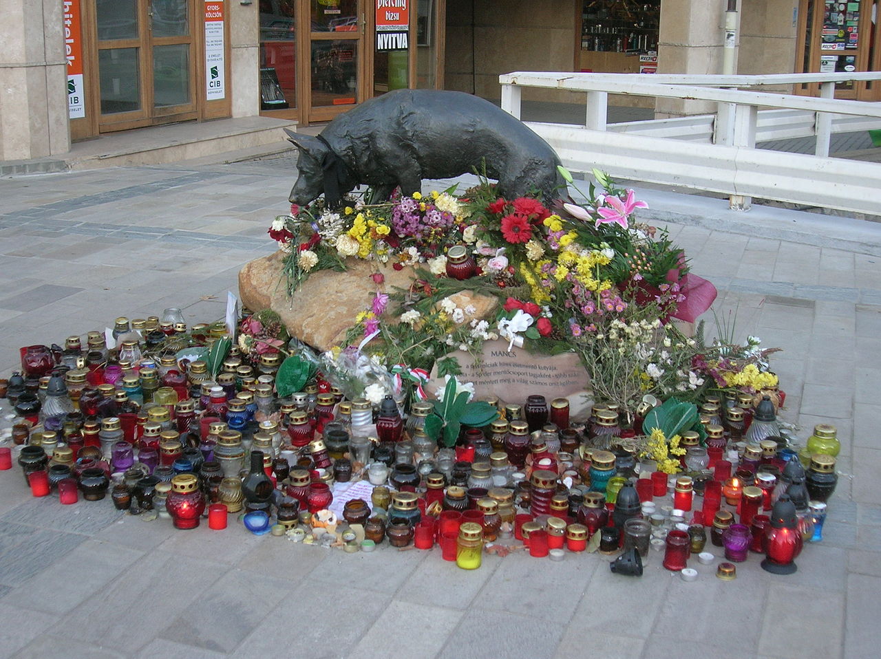 The most famous Hungarian animals to be proud of - PHOTOS ...