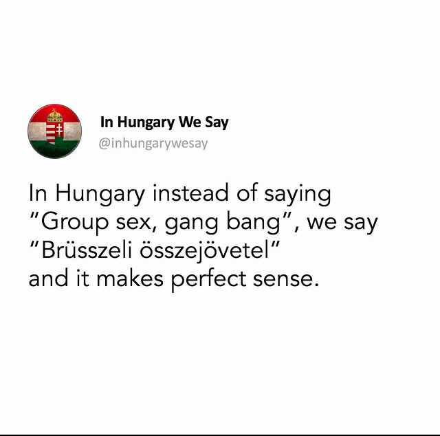 Our favourite memes about the Szájer scandal - DailyNewsHungary