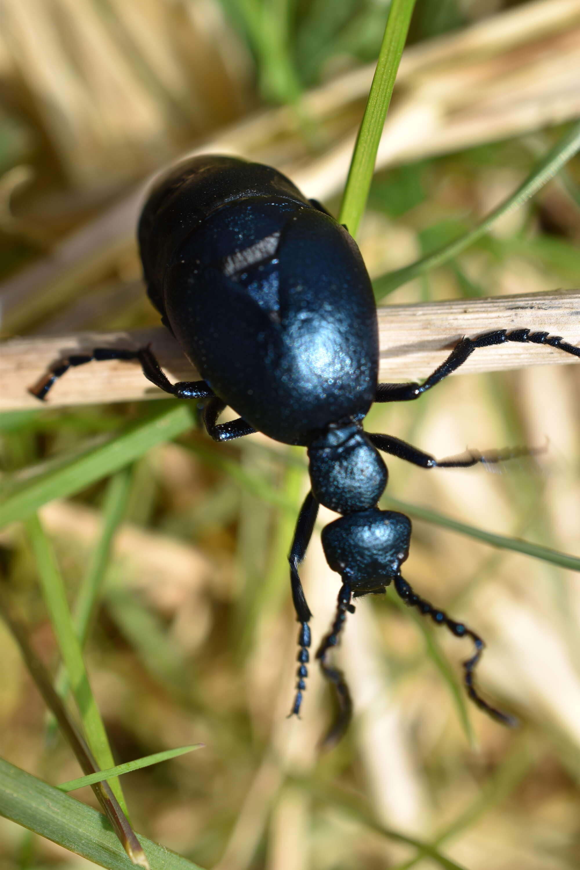 Hungary’s most unique national park is 30 years old - PHOTOS, VIDEOS ...