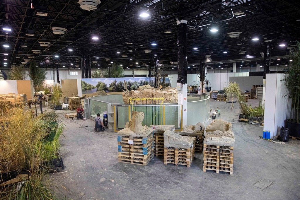 Everything you need to know about the upcoming Budapest World Hunting ...