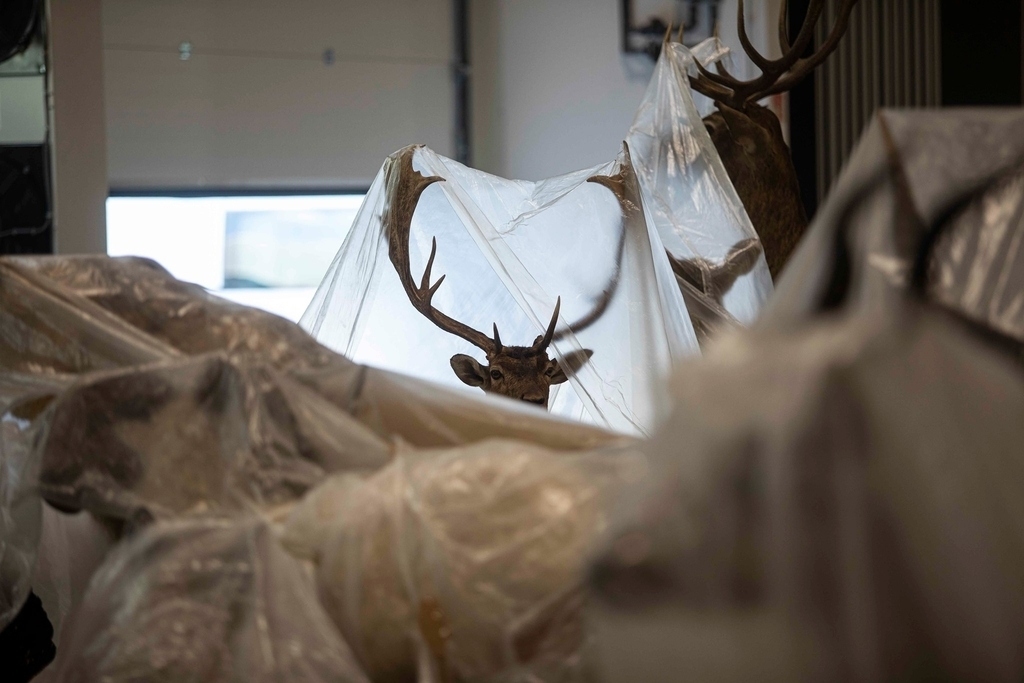 Everything you need to know about the upcoming Budapest World Hunting ...