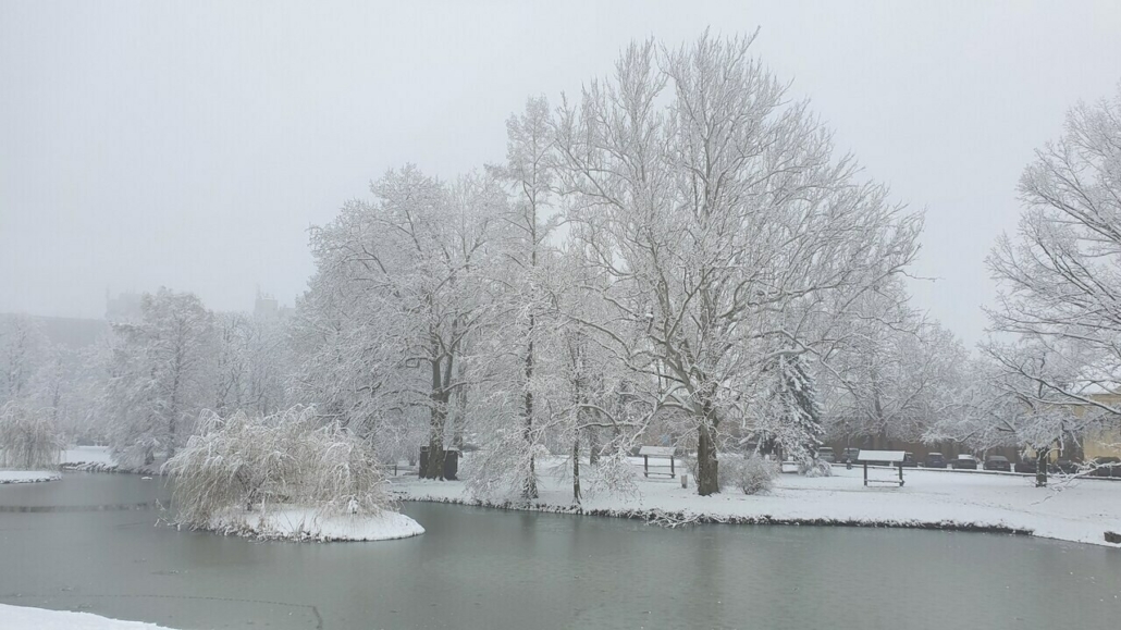 It is finally here! Parts of Hungary covered in 10 cm of snow – PHOTO ...