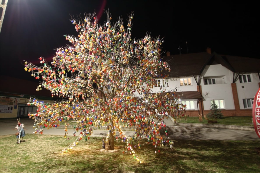 Discover Hungary's most spectacular Easter park — PHOTO GALLERY - Daily ...