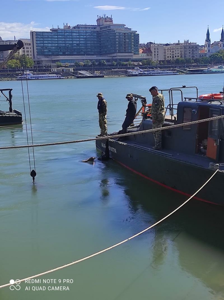 Photos: Soviet WW2 aerial bomb lifted from Danube