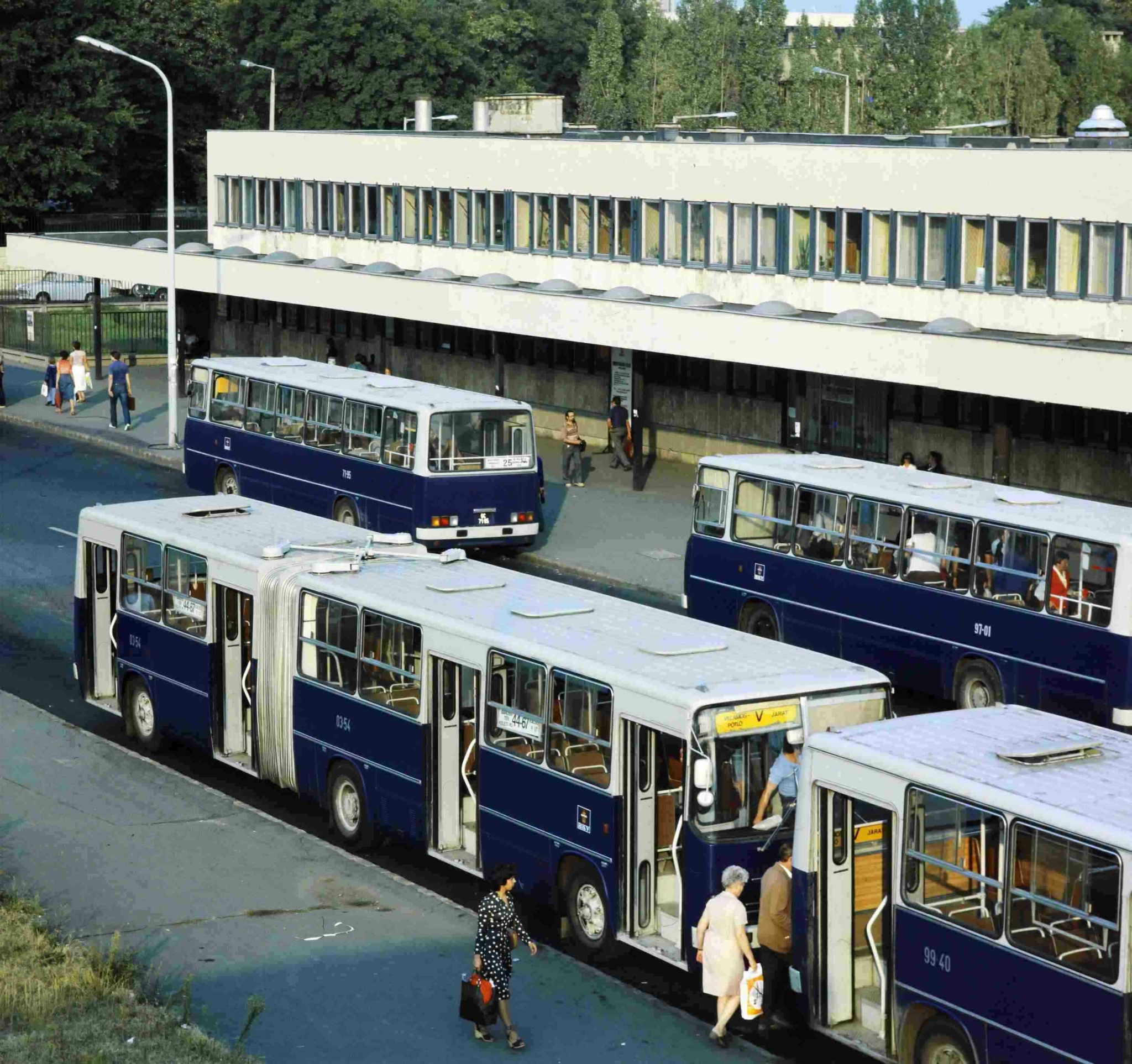 Legendäre Ikarus-Busse zur Ausmusterung, aber in Budapest kann man trotzdem mitfahren ...