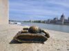 Famous Kolodko sculptures in Budapest – where to spot the miniature ...