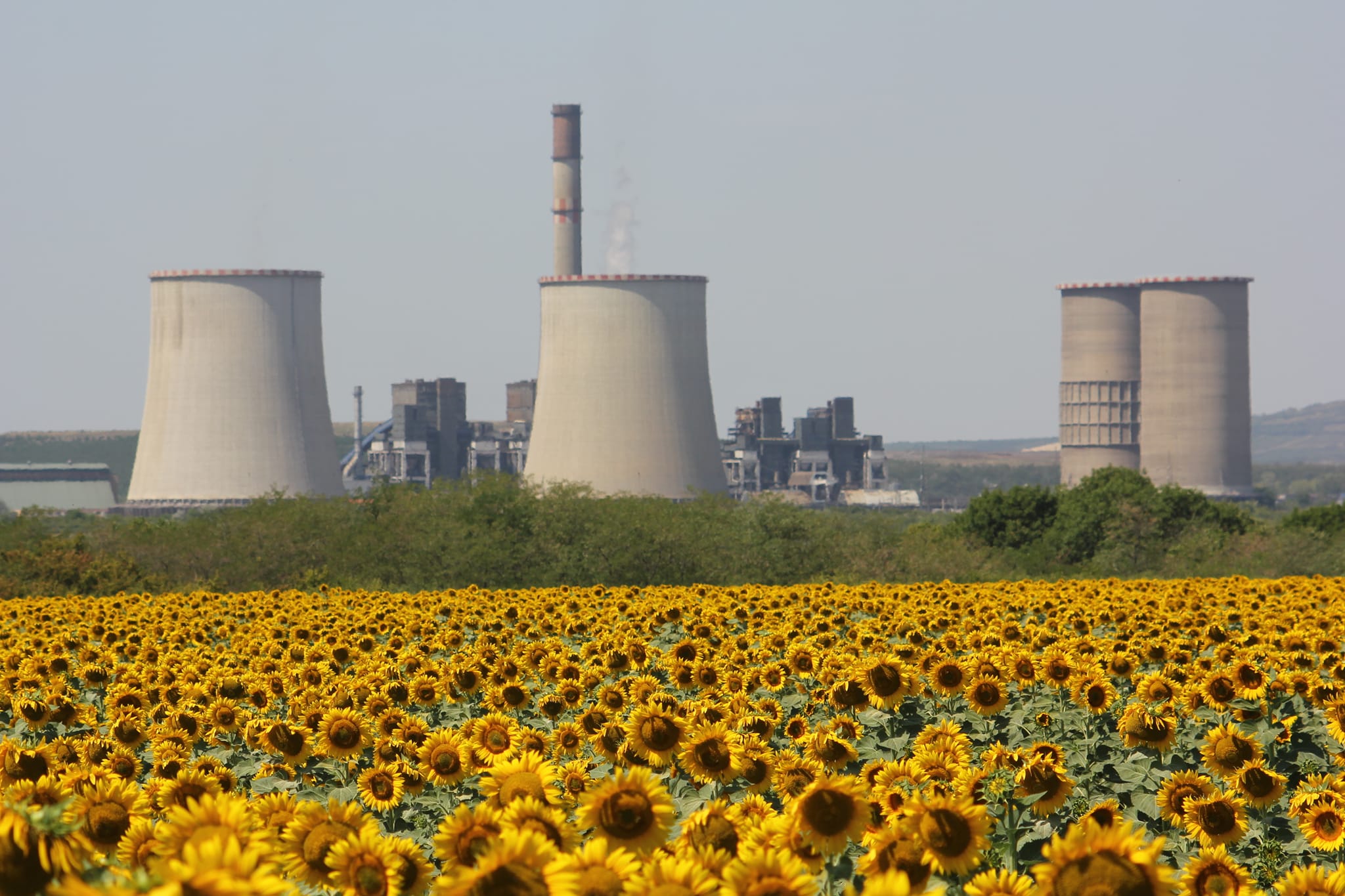 Europeans, Chinese, Turkish, Egyptians race to build power plants in ... Europeans, Chinese, Turkish, Egyptians race to build power plants in ...