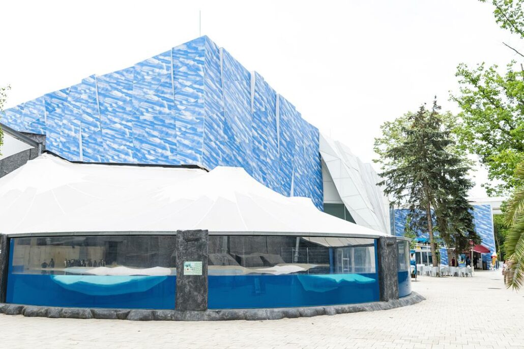 Jaw-dropping Ice World in Nyíregyháza Zoo opened – PHOTOS, VIDEO ...