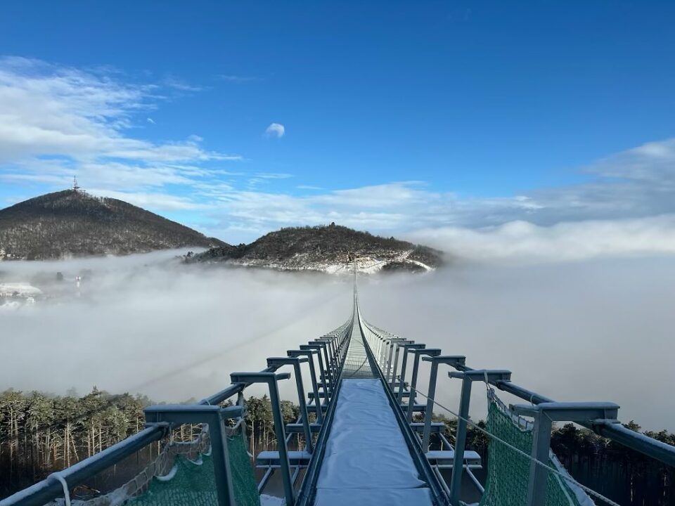 Amazing: Hungary’s Bridge of National Unity sets Guinness record as ...