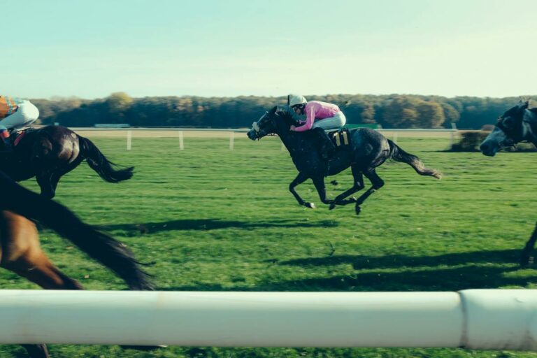 The surprising connection between horses and Hungarian history ...