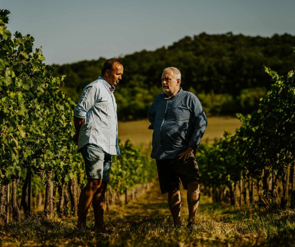 Hungarian wine highlights: Villa Gyetvai's new portfolio embodies the ...