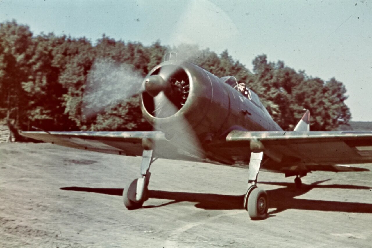 The life and legacy of Dezső Szentgyörgyi - Hungary's top fighter ace